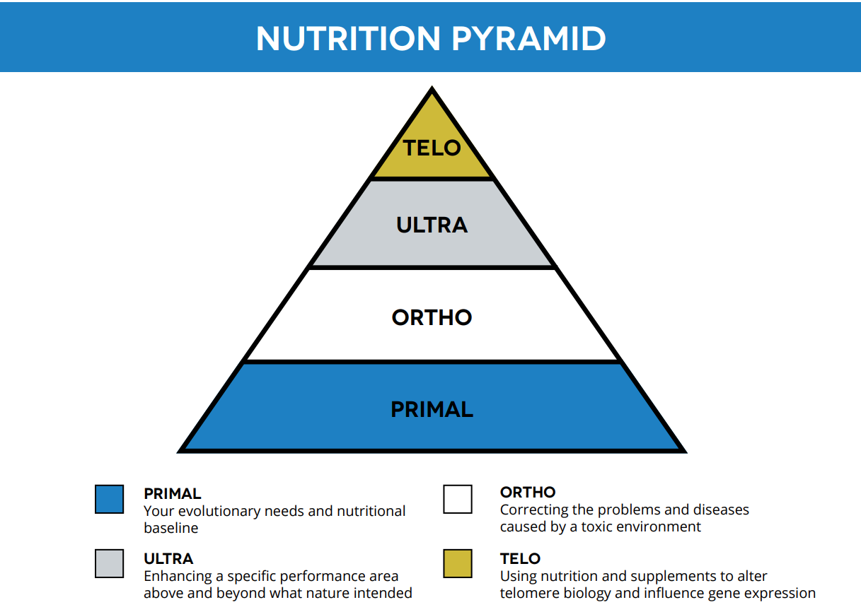 Nutrition Pyramid - primalforce.net